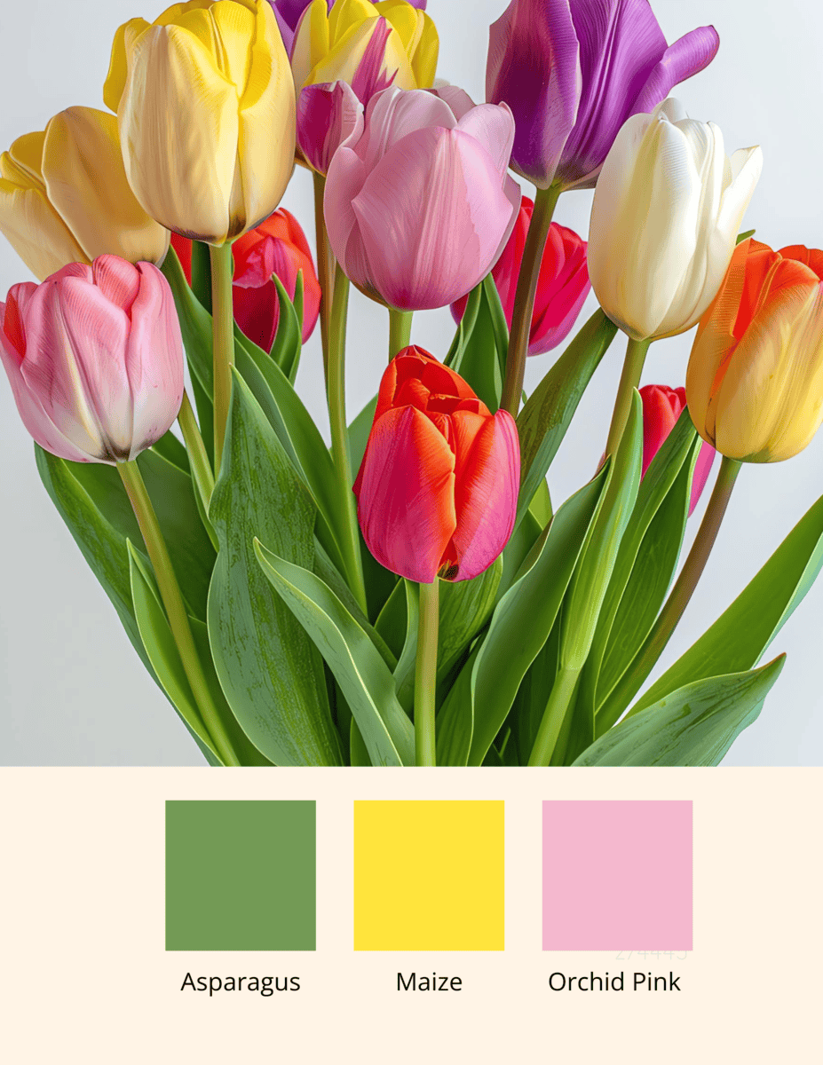Beginner's Guide to Color Combinations for Cardmaking - Card Palettes